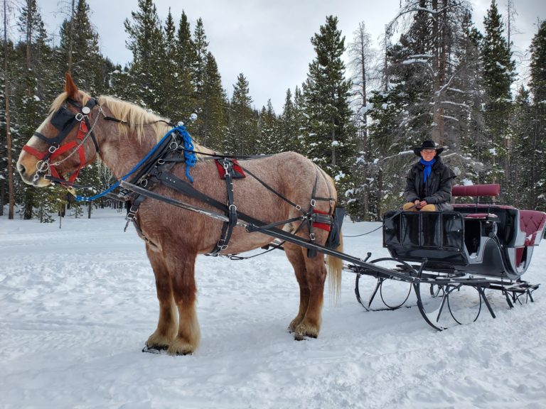 Horse Sleigh Rides & Dinner Theater, Breckenridge Colorado