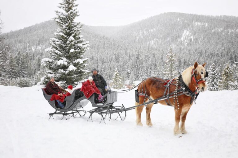 Horse Sleigh Rides & Dinner Theater, Breckenridge Colorado