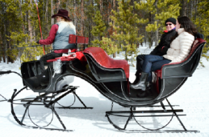 Private Exclusive Romantic Sleigh Rides In Breckenridge Colorado ...